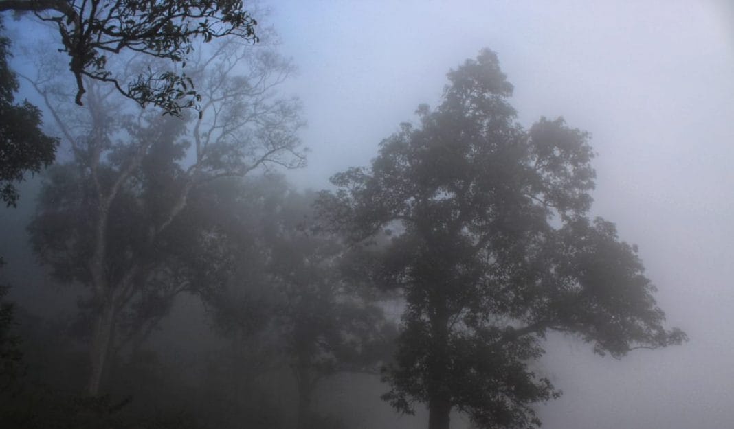 Lambasingi Hill Station-Travel Guide, Tourist Attractions & Hotels to Stay