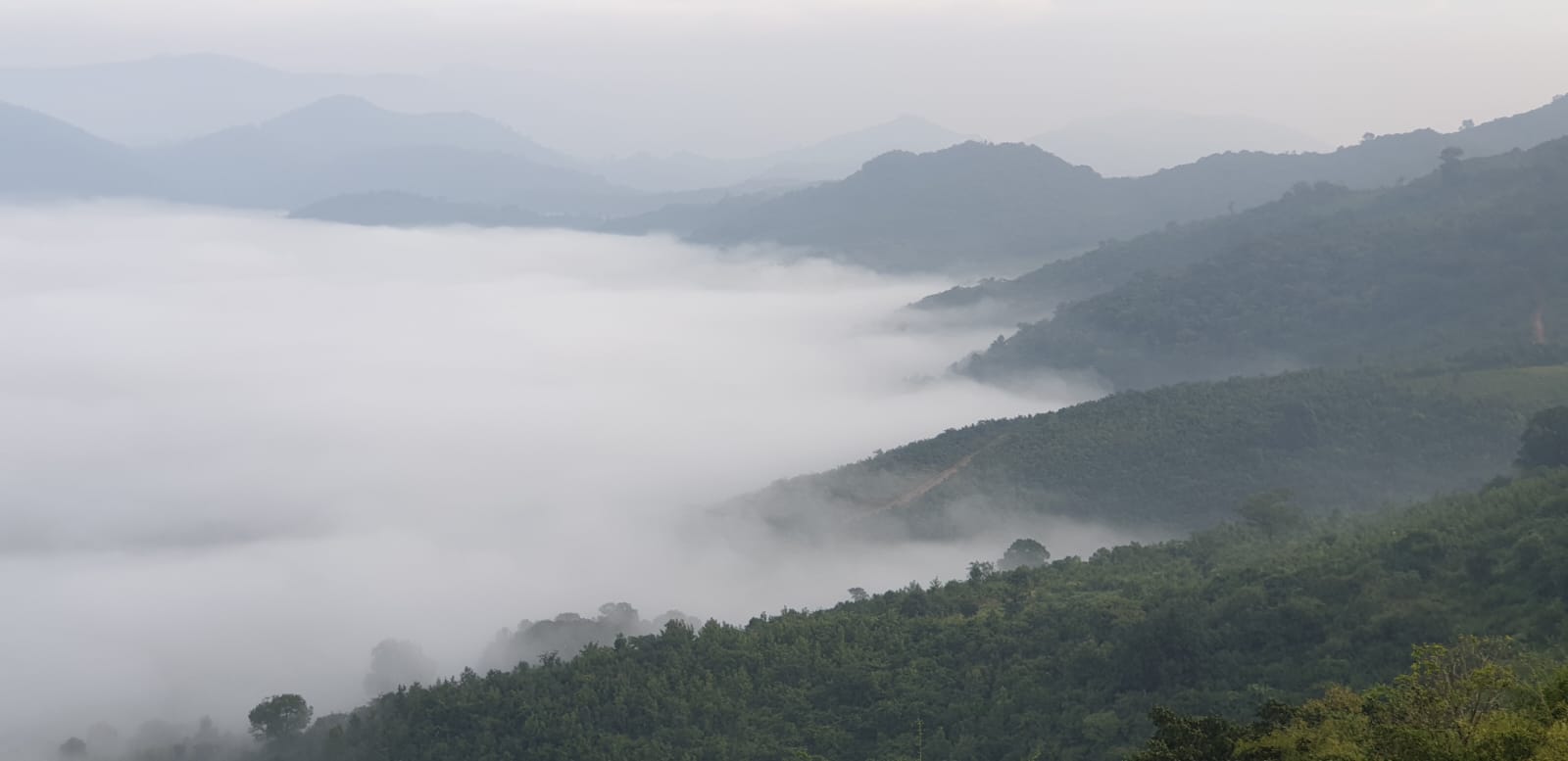 Lambasingi Hill Station-Travel Guide, Tourist Attractions & Hotels to Stay