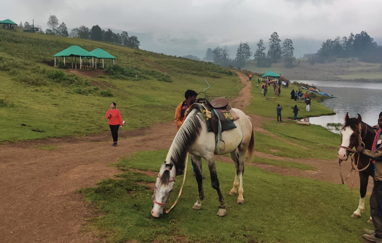 Kodaikanal Tourist Places, Things To Do, Travel Guide & Itinerary